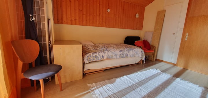 L'écureuil Du Chalet ! - Pontarlier