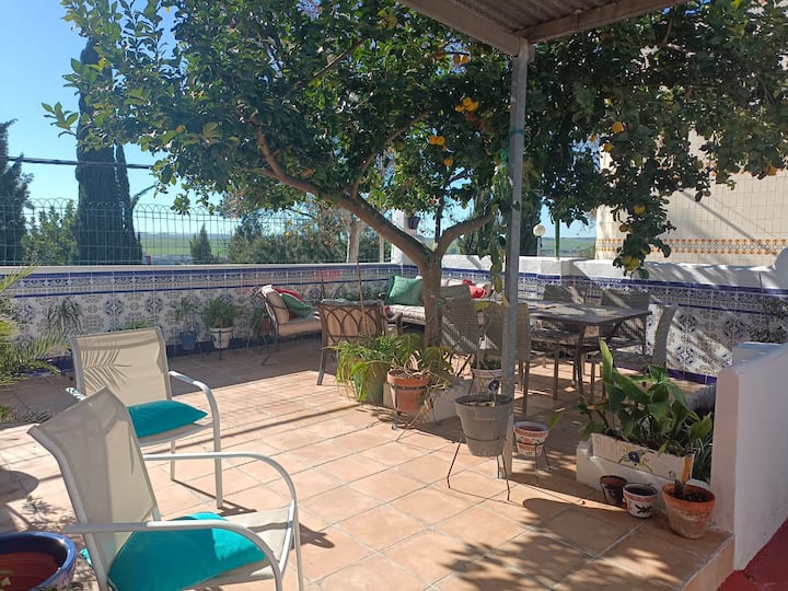 Andalousie, Jerez De La F. - Jerez de la Frontera