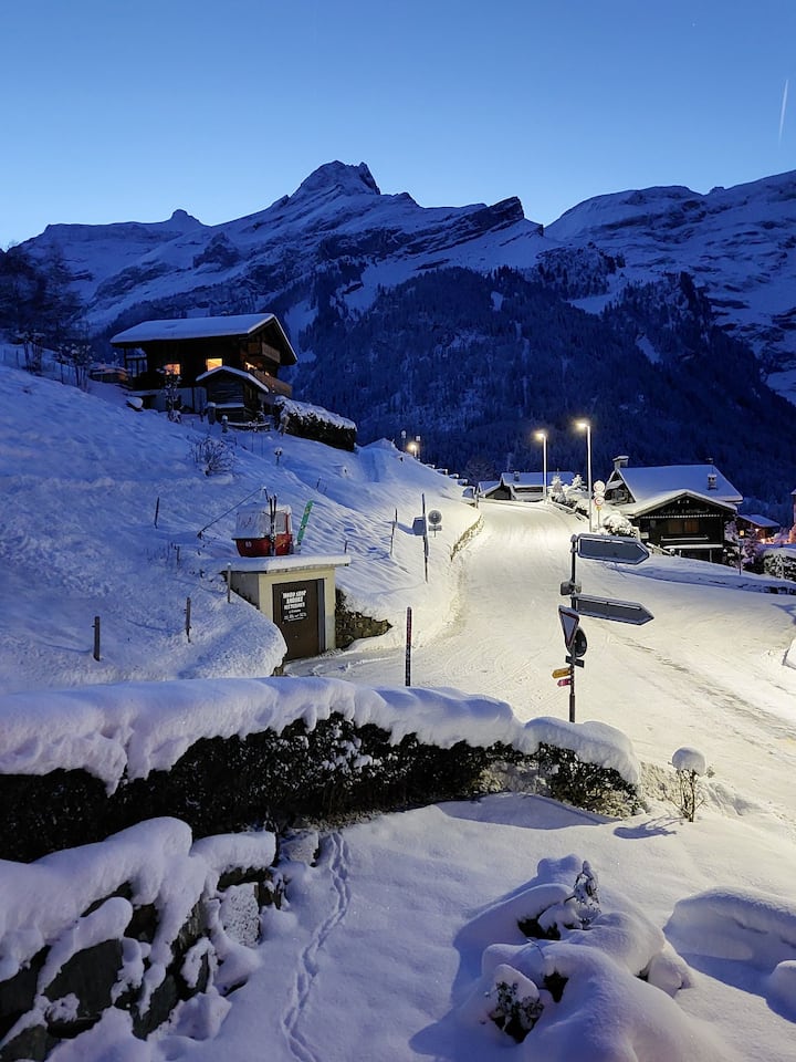 Appartement 1 Pièce - Les Diablerets