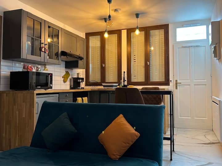 Courtyard Apartment In Comfort & Style - Dijon