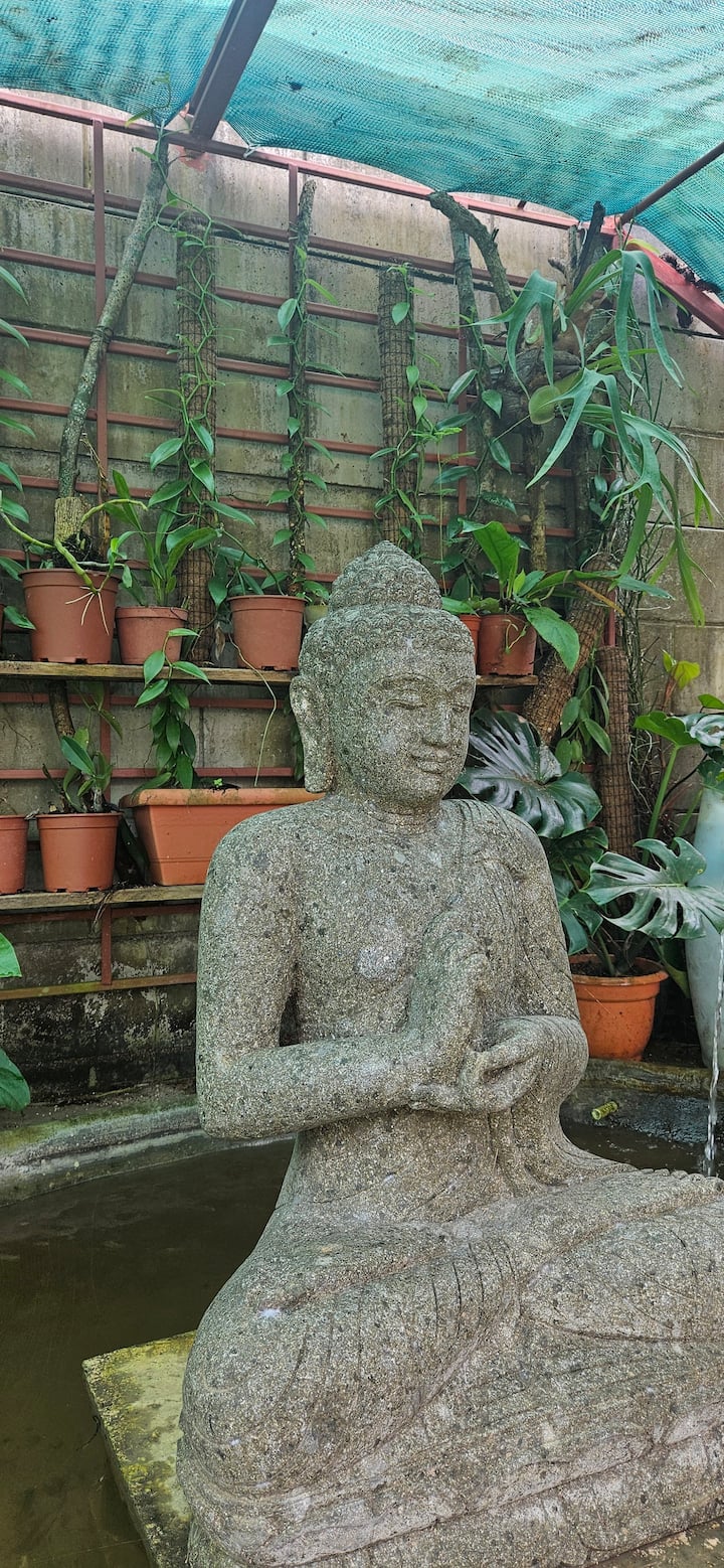 Beachwalk/2queen/openkitchen/100mbps/yogadeck/koi - Savegre de Aguirre