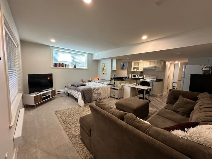 Cozy Studio Basement Suite - Langley
