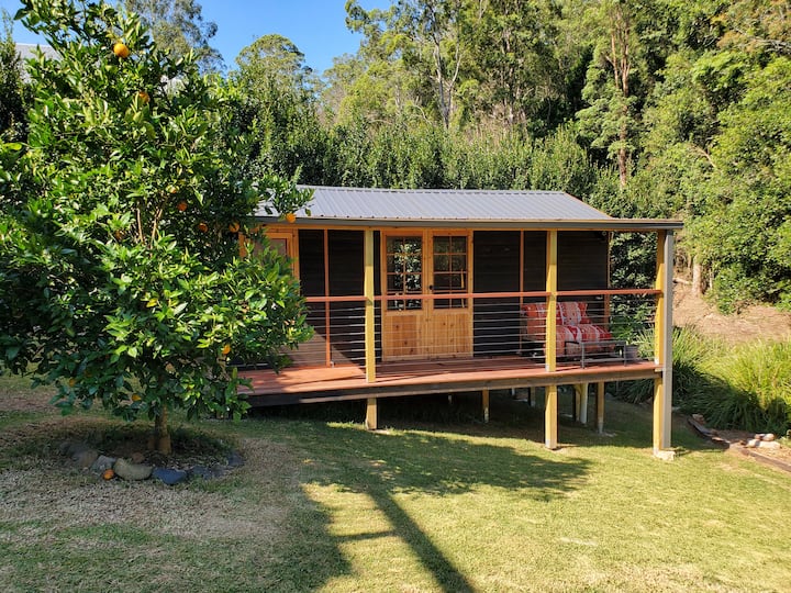 New Eco Forest Cabin In Bellingen - Bellingen