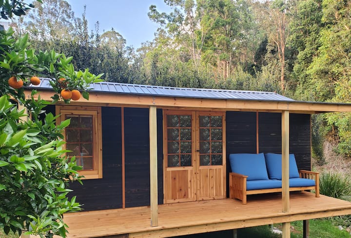New Eco Forest Cabin In Bellingen - Bellingen