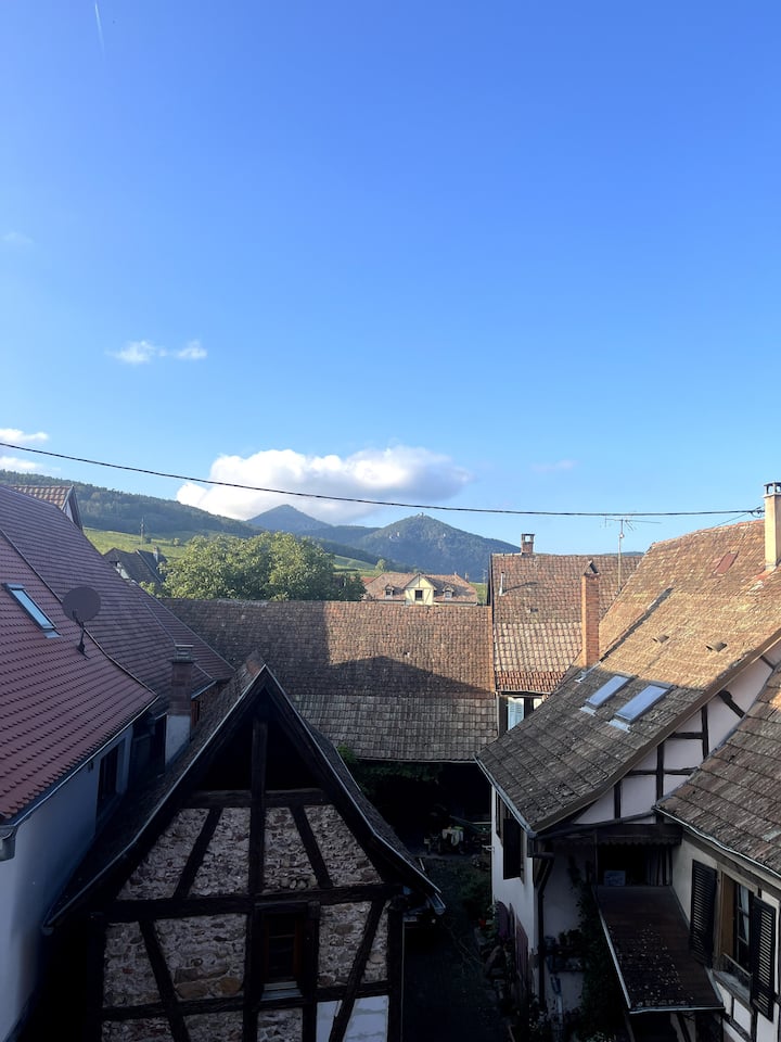 Maison - Le Petit Nid - +5 Pers - Thannenkirch