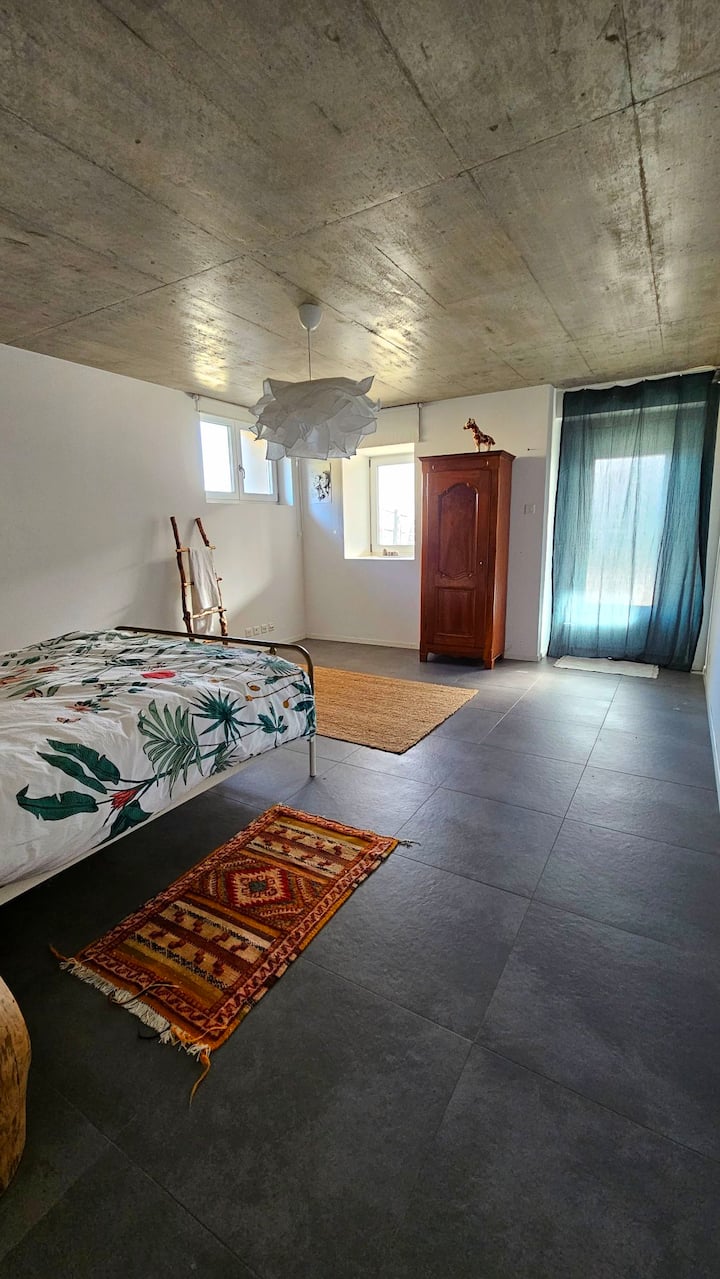 Grande Chambre Vue Alpes Et Lac - Neuchâtel