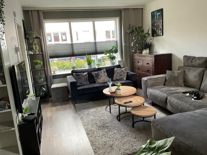 De Beemster Experience - Purmerend