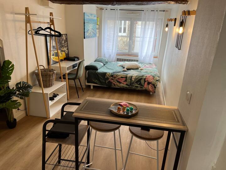 Le Calme Studio - Fleury/orne - Ifs