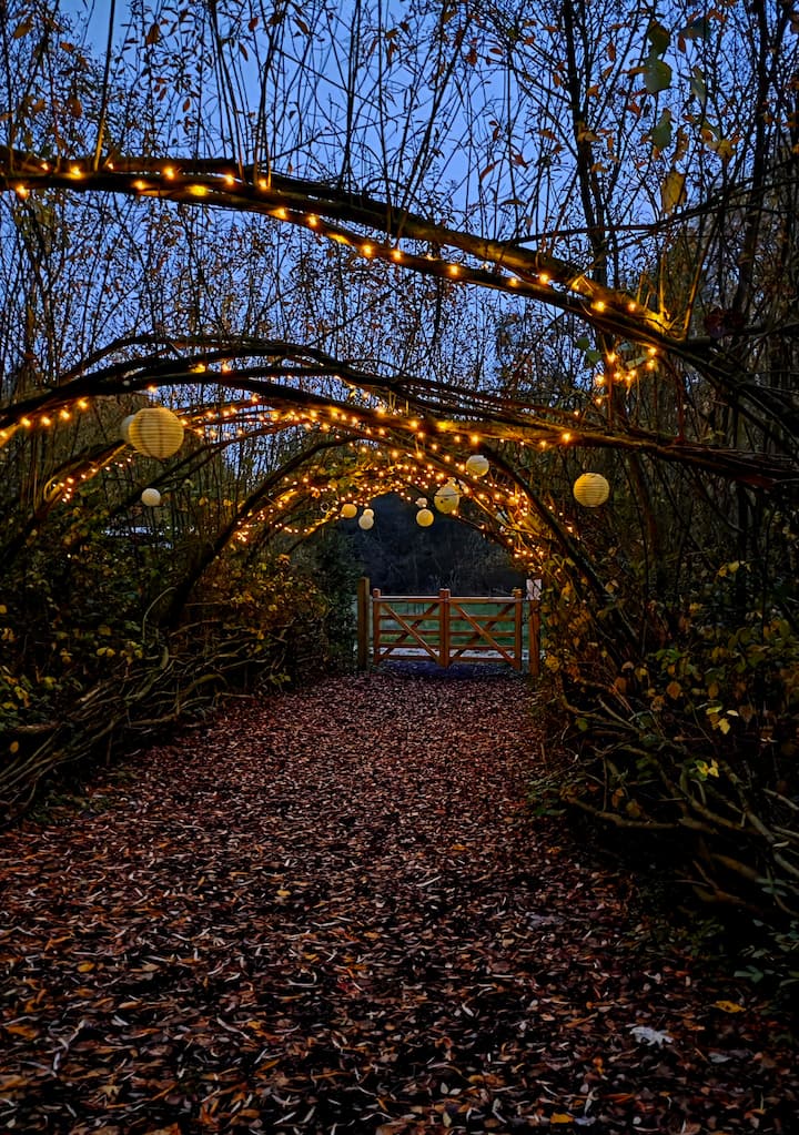 Cosy Woodland Hideaway - Hot Tub & Alpacas - York - Yorkshire