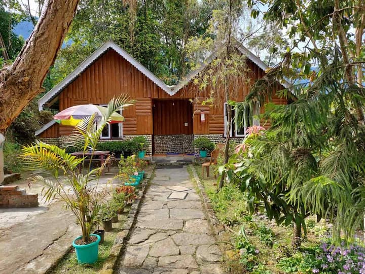 Odyssey Stays Darap - Pelling