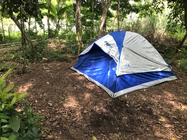 Tenda Para 6 - Bosque Da Sabiá - 
