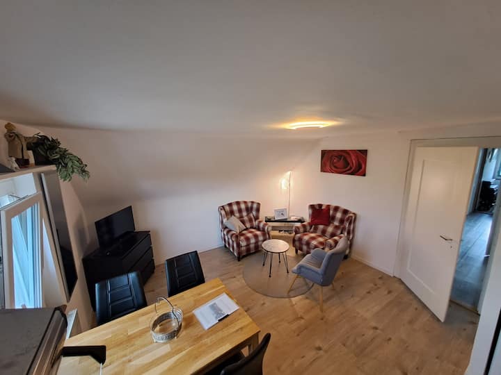 Charmant Appartement De 3 Pièces Au Centre-ville - Canton de Fribourg