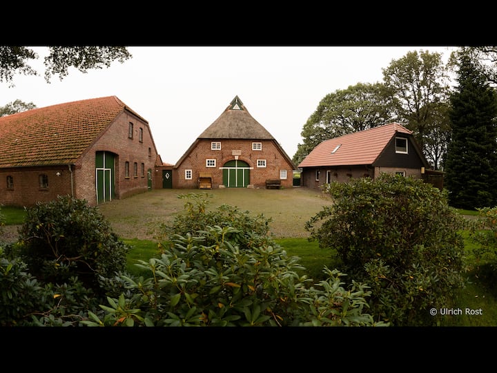 5 Sterne Ferienhaus Am Gruenen Kamp - Zetel
