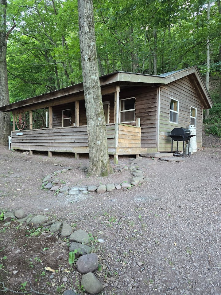 Cabin On A Horse Ranch - Catskill, NY