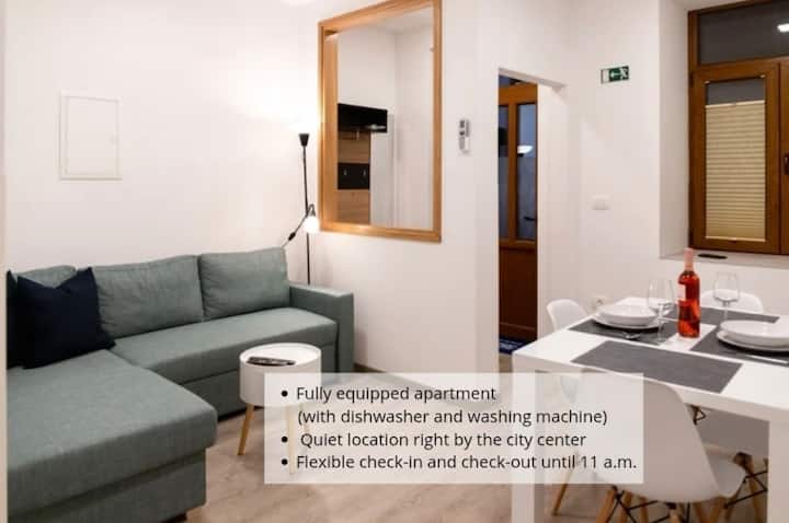 Oliver Street Apartment - 50m From City Center - Slovénie
