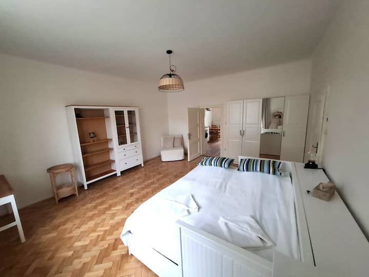 Acer Apartment - Brno