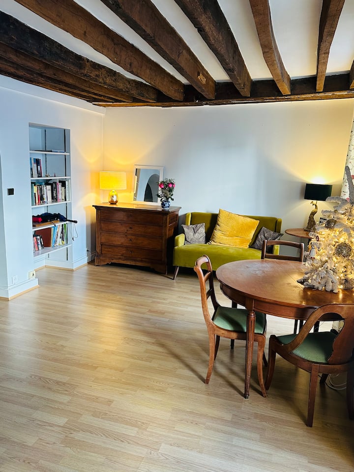 Gorgeous Marais Apartment - Saint-Georges