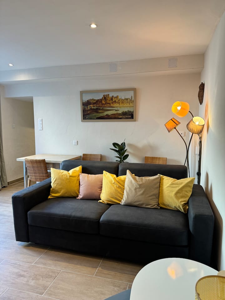 Appartement De Plain-pied Avec Jardin. - Avignon