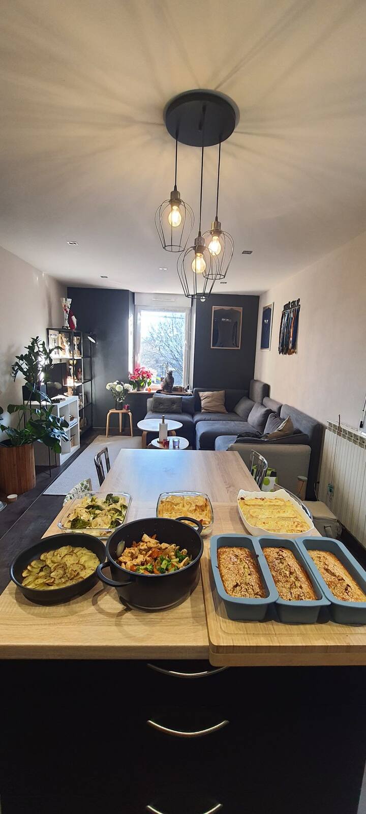 Le Cocon Vosgien - Remiremont