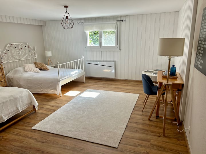 Chambre Spacieuse Avec Salle De Bain Privée - Martigny