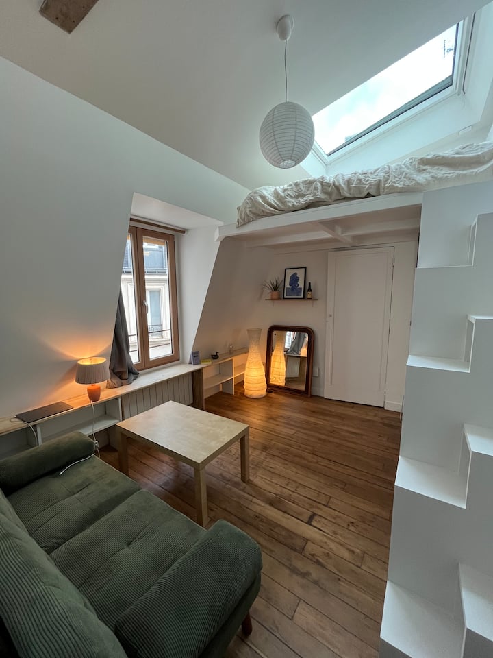 Studio Parisien Sous Les Toits - París