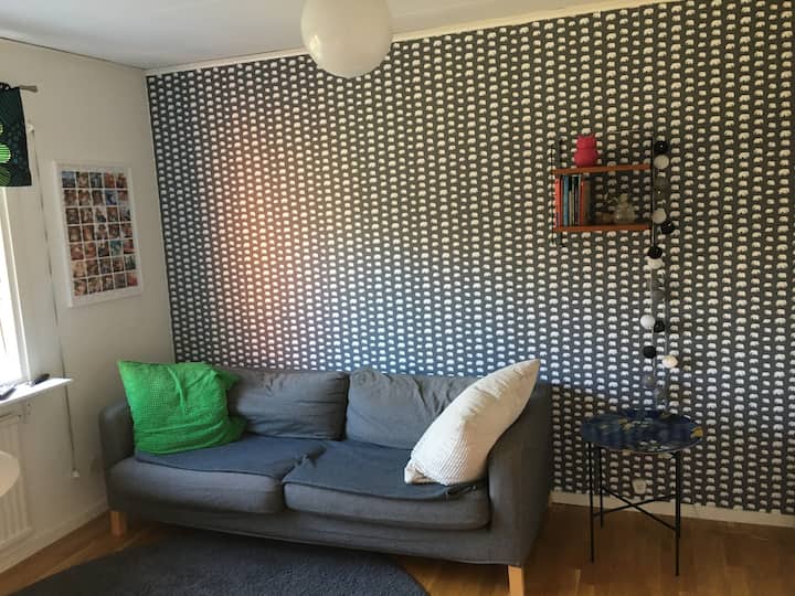 Hus Under Eurovision 2024 - Lund