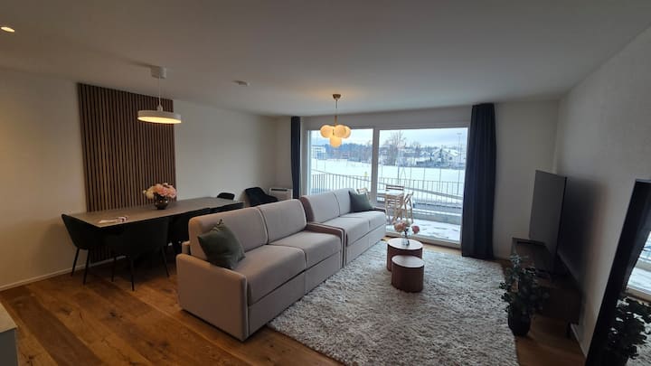 Premium | Modern | Park | Wash | Cook | 15' City - Lucerne