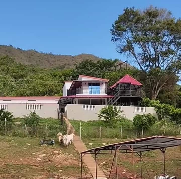 Cabaña La Casa Del áRbol - Prado