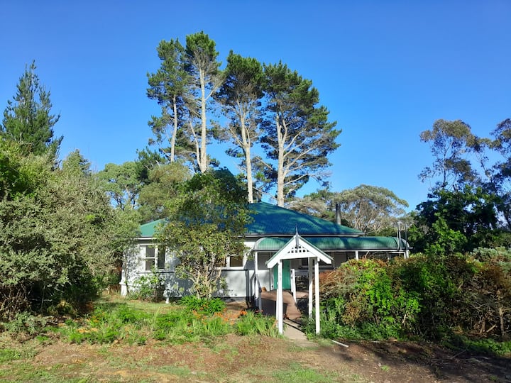 Roasile - Blackheath, NSW, Australia