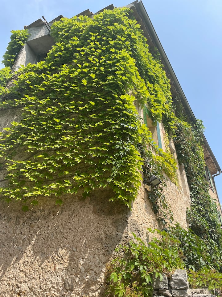 Maison De La Chapelle - Cotignac