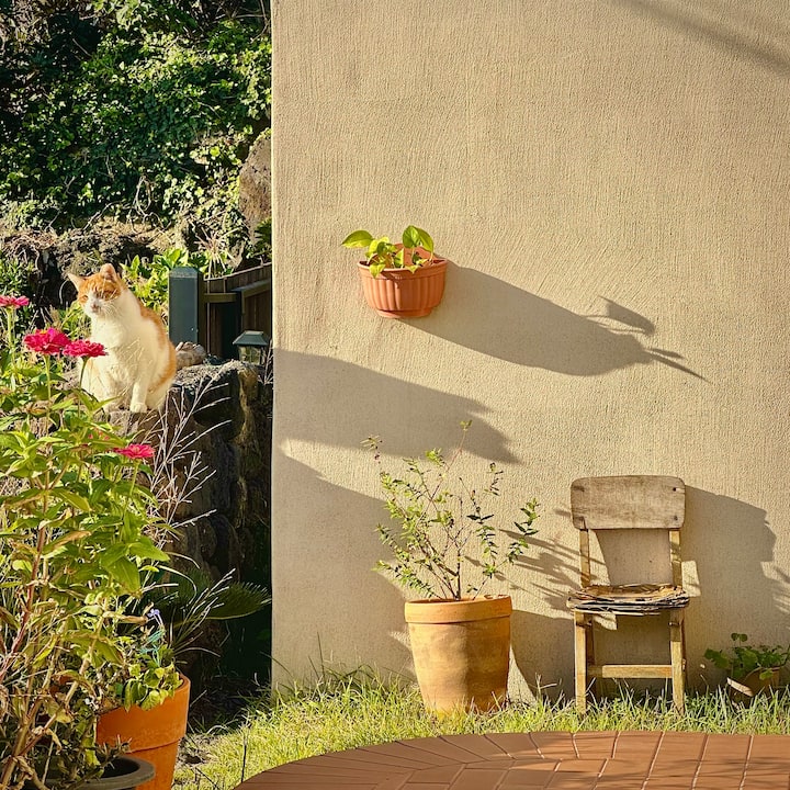 European Vibe Cottage In Jeju - Jeju-si