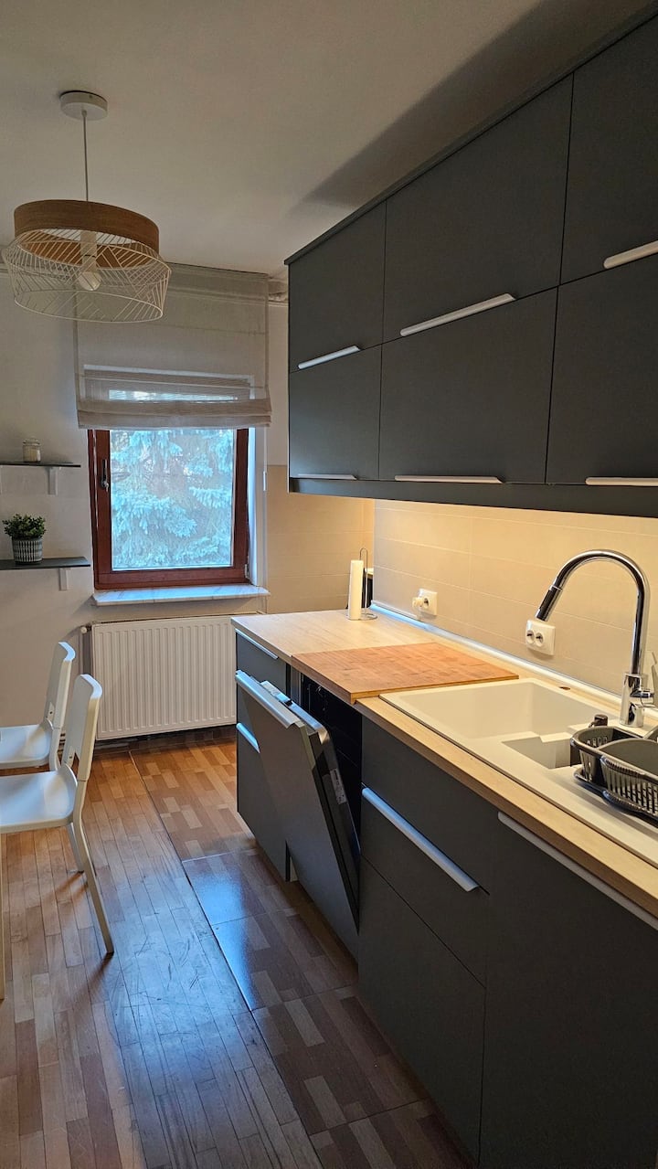 Homely And Bright Apartment - Cluj-Napoca