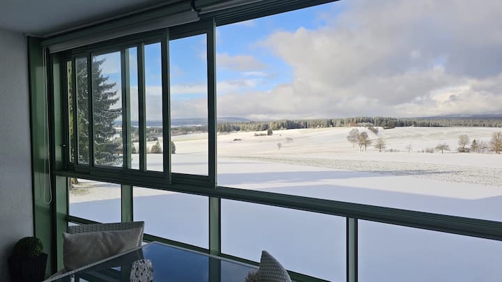 Apartment Mit Weitblick - Donaueschingen