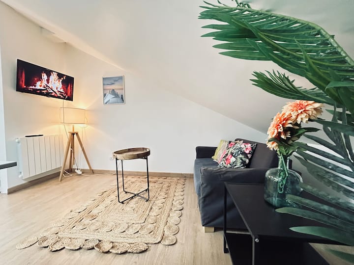 Jonquille 9 Trés Cozy Proche Centre Ville - Reims