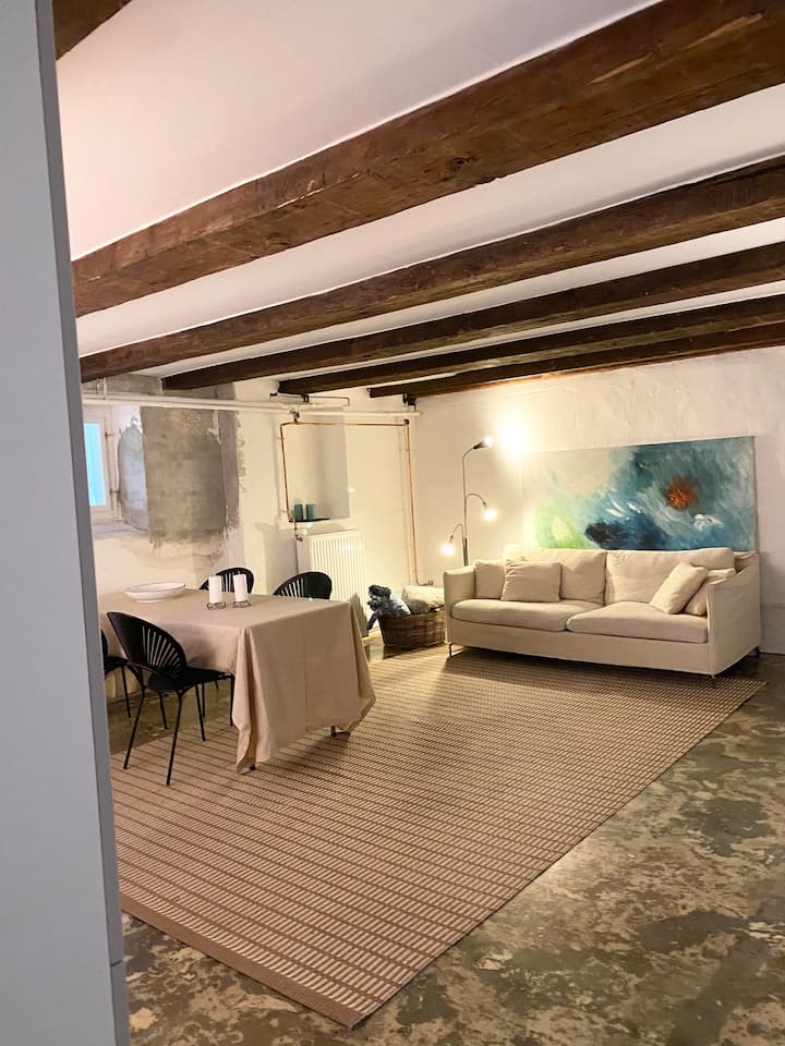 Spacious Basement Apartment - Copenhagen