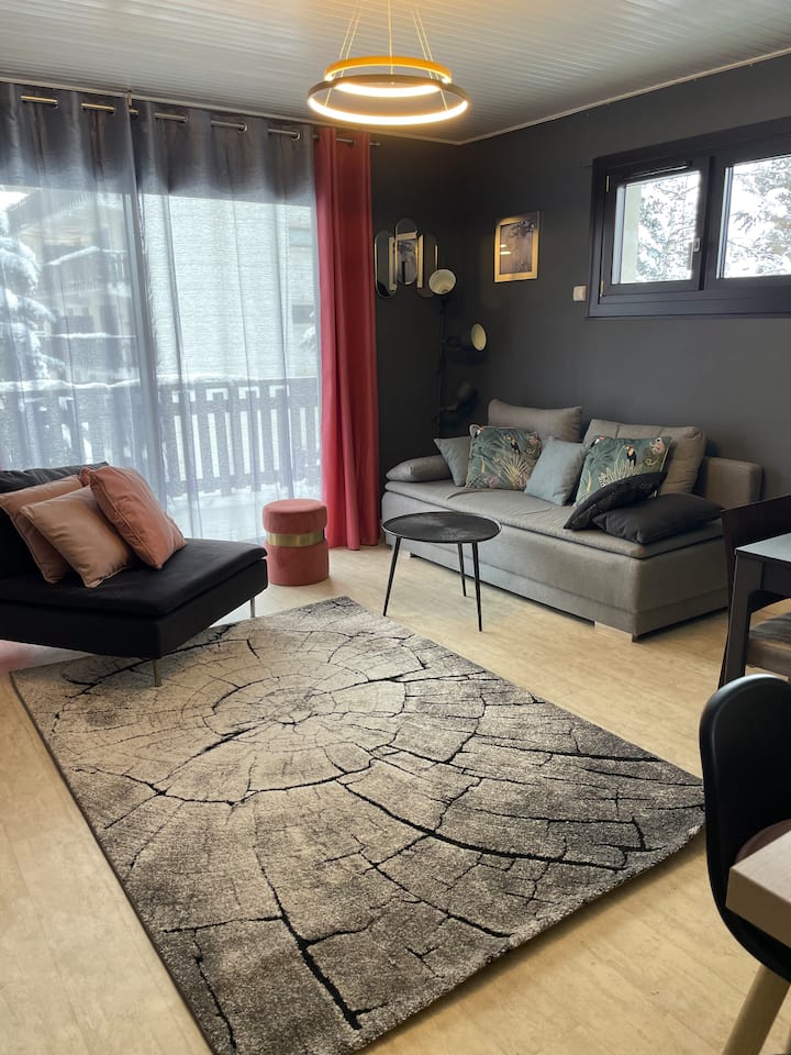 Appartement 6 Personnes 47m2 - Auris