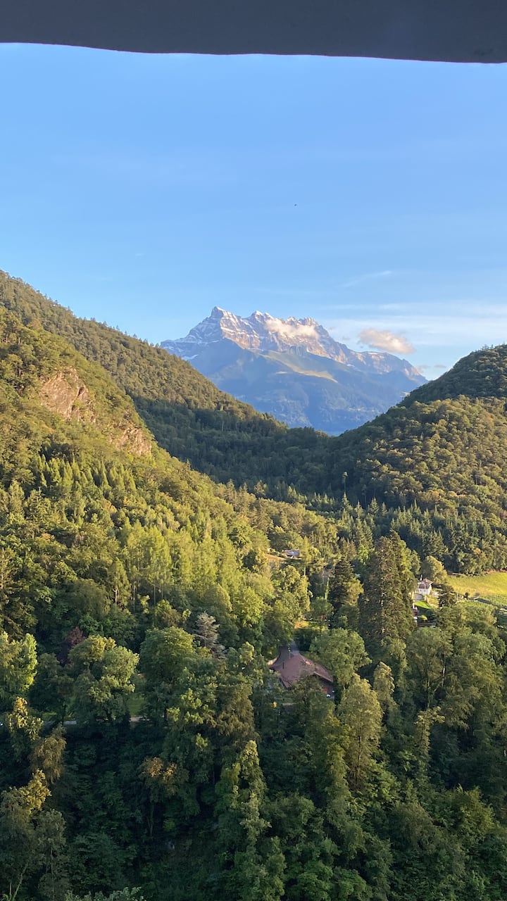 Luxury Mountain Escape - Leysin