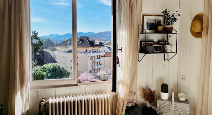 Annecy- Triangle D’or- 1 Chambre-parking-balcon - Annecy