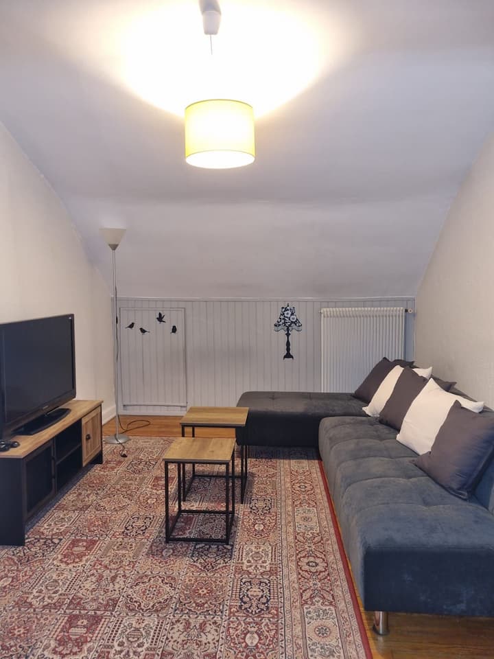 Appartement Centre-ville - Colmar