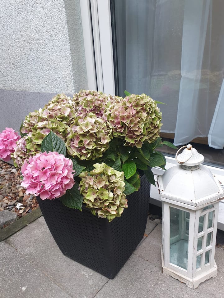 Ferienwohnung Jurga - Pirna