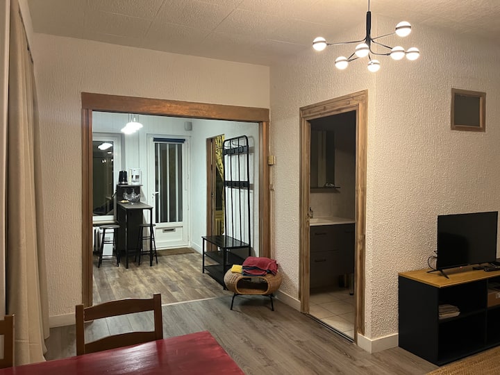 Maison De Tisserand Pleine De Charme, (36 M) - Cholet