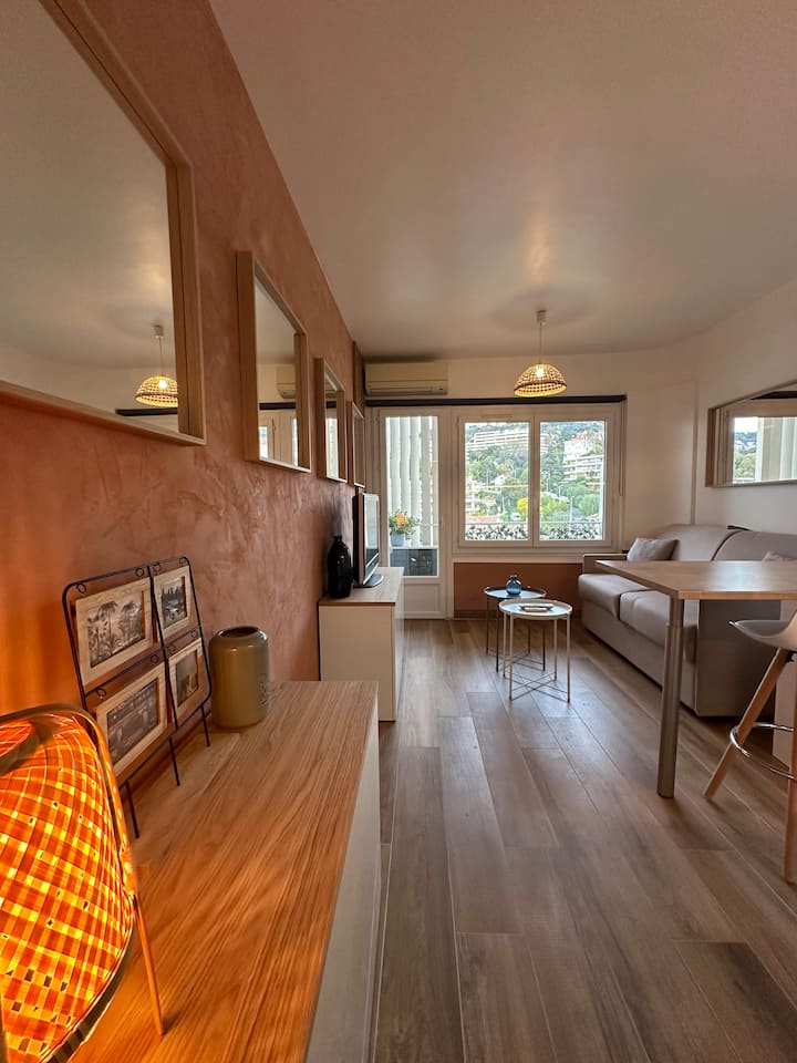 Studio Avec Terrasse - Cannes