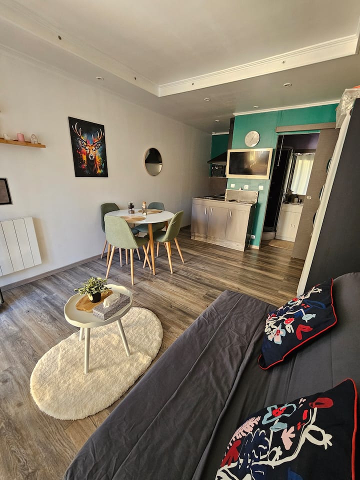 Studio Cosy à Barcelonnette - Barcelonnette