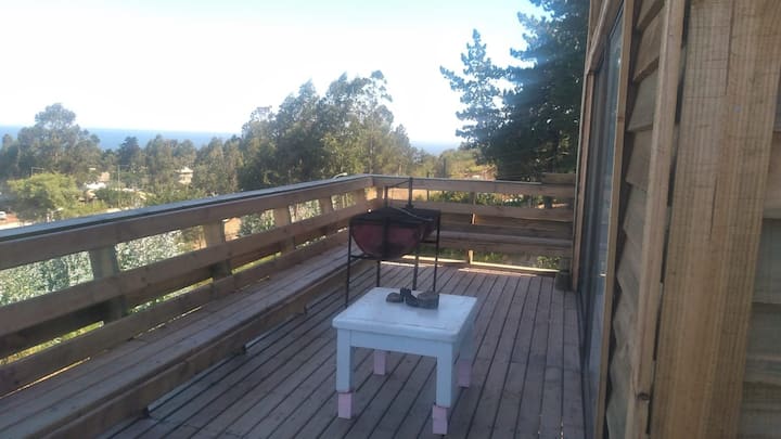 Playa, Campo, Bosques, Naturaleza, Restaurante - Constitución