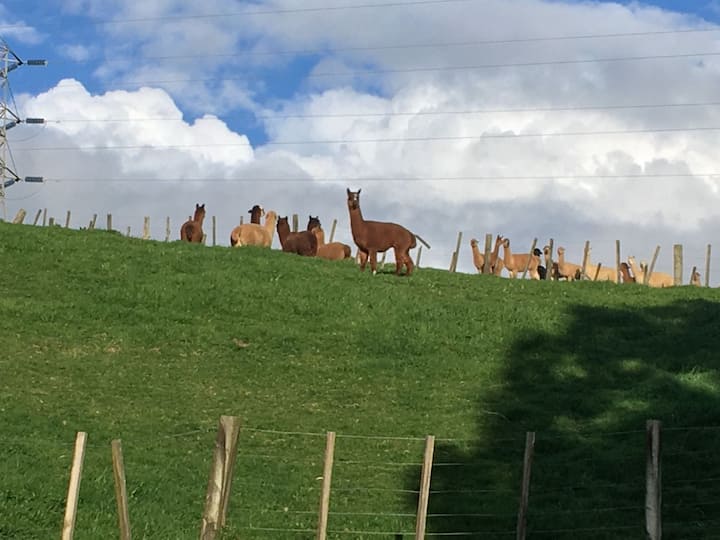 Elmwood Farmstay - Porirua