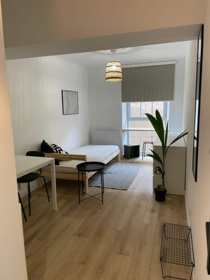 Appartement Metz Centre - Metz