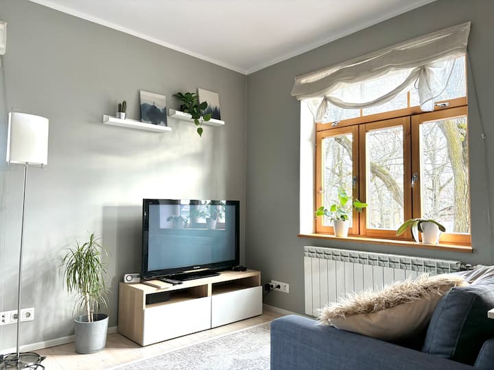 Little Heina Apartment - Tallin