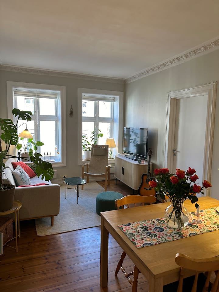 Hyggelig Leilighet Sentralt I Oslo - Oslo