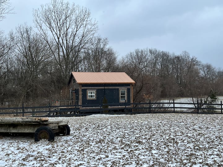 3 Cabins On A Farm - Indianapolis, IN