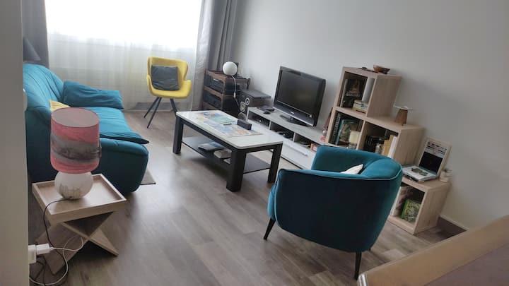 Centre-ville Aix Les Bains Appartement 55 M 2 - Aix-les-Bains
